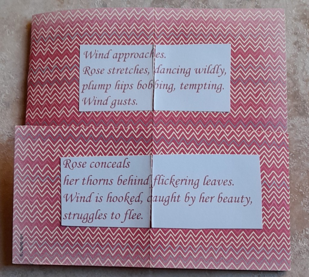 Rose blushes – voidspace