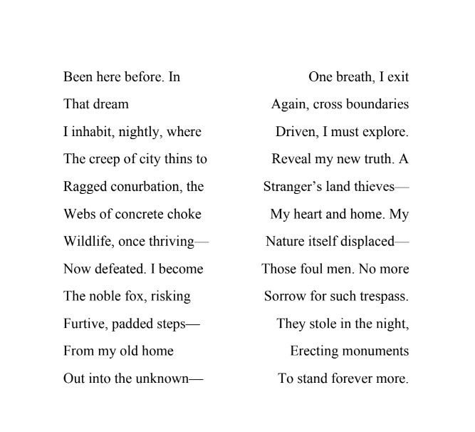 The Border Fox – voidspace